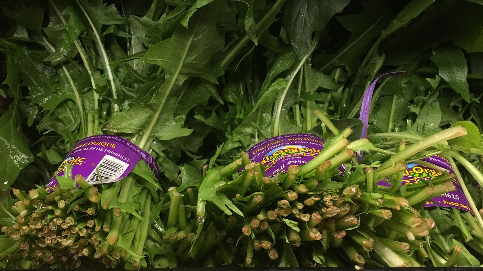 20 Foods That Taste Bad But Are Really Good For You - HealthByWealth