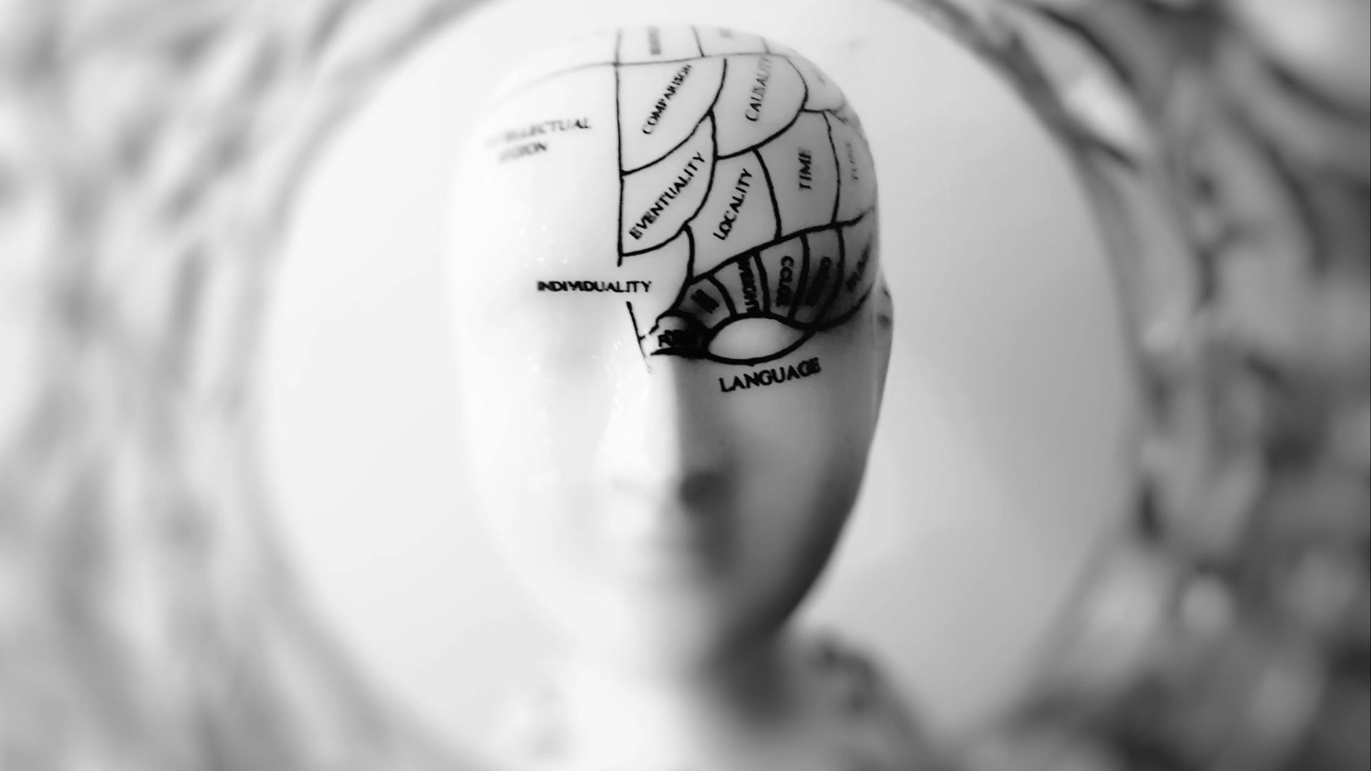 20 Myths About The Human Body - HealthByWealth