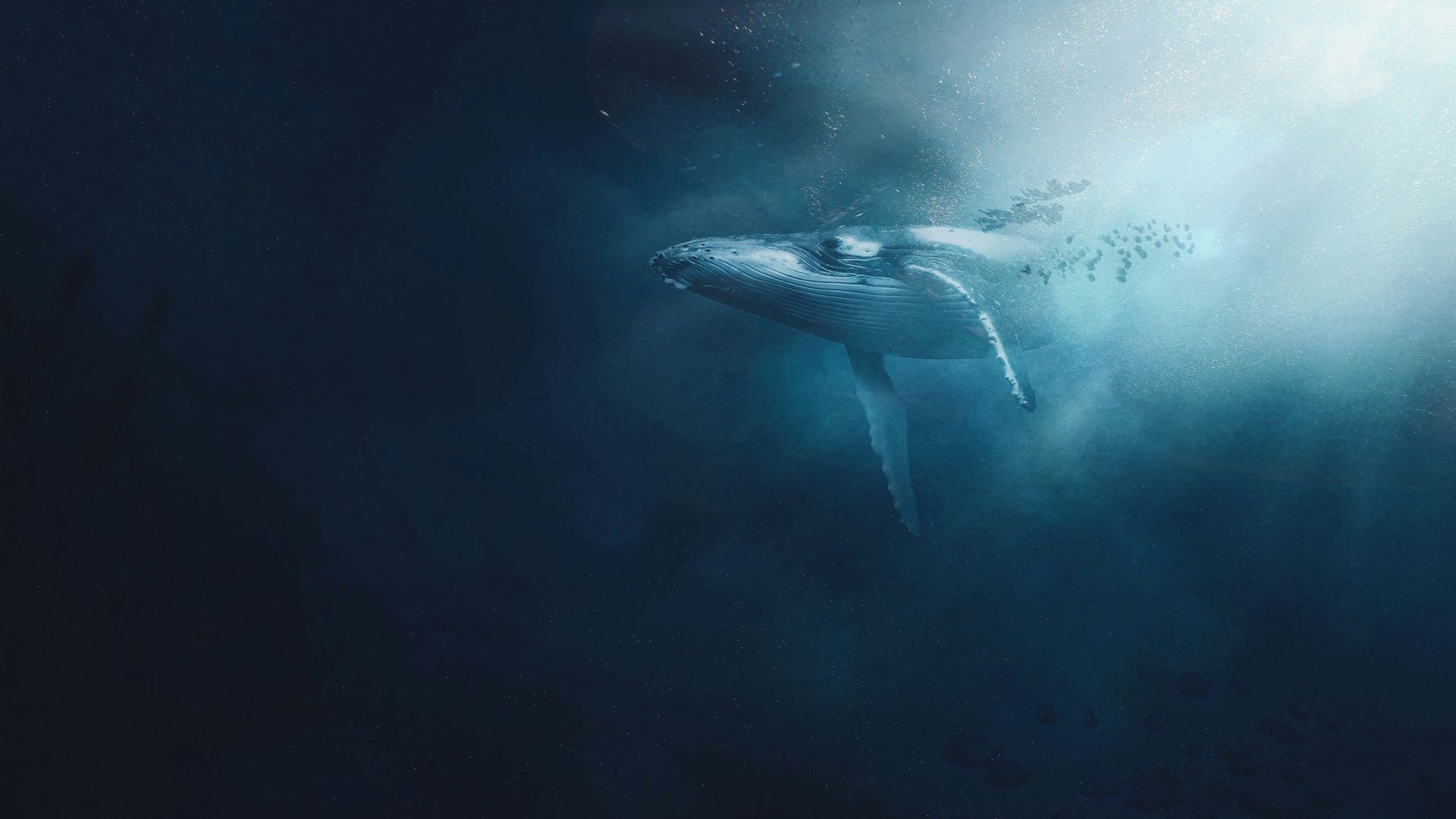 From Lost Cosmonauts to Ghost Armies: 20 Historical Conspiracies That ...