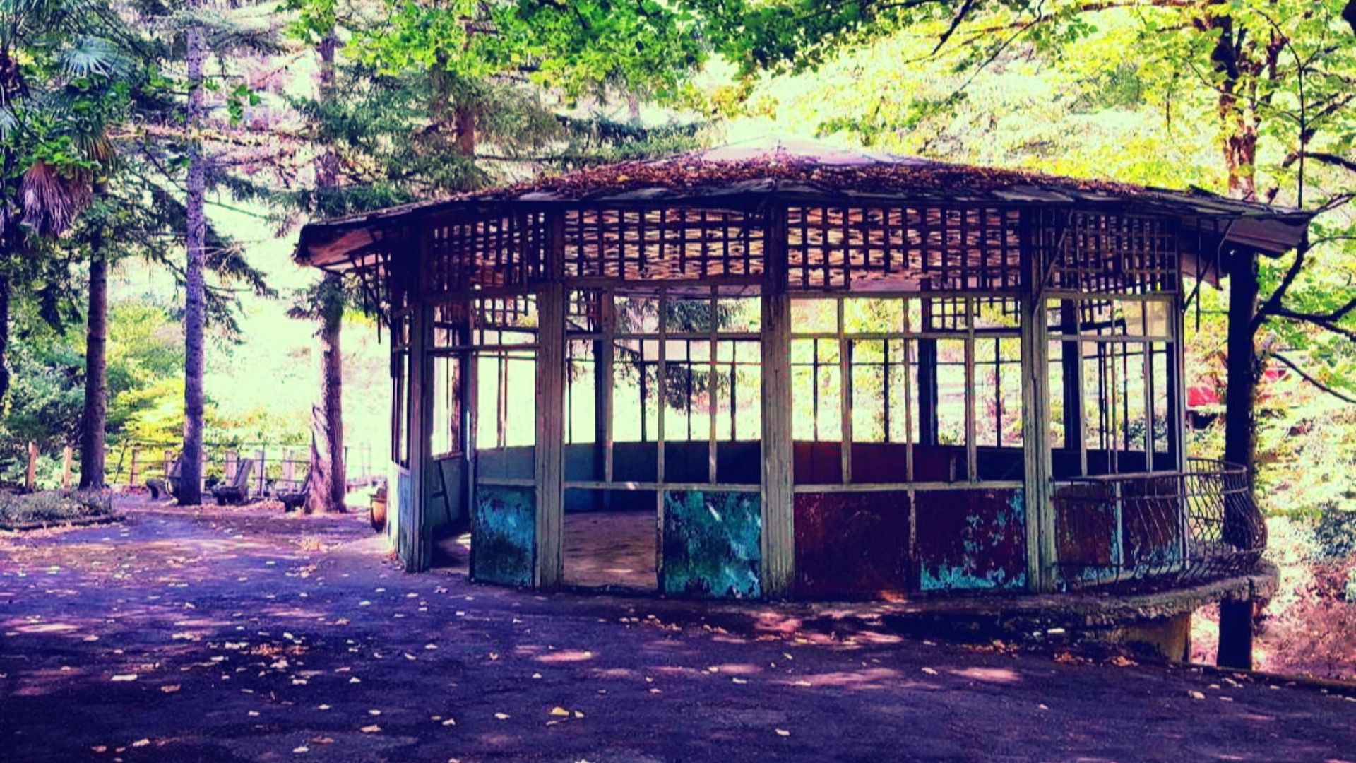 20 Ways Coffee Changed The World - HistorySnob