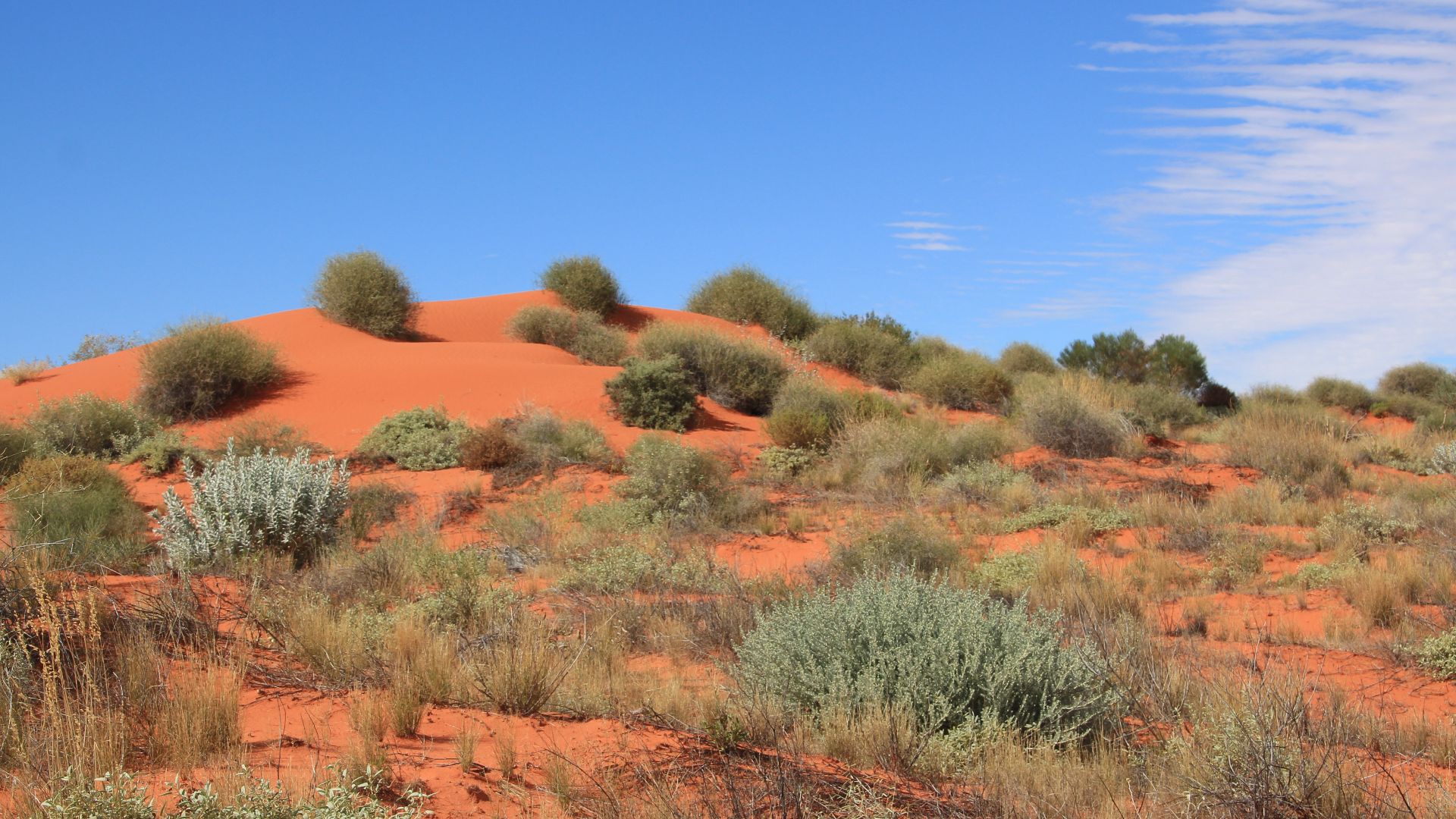 Not-So Barren Beauty: The 20 Best Deserts Destinations In The World ...