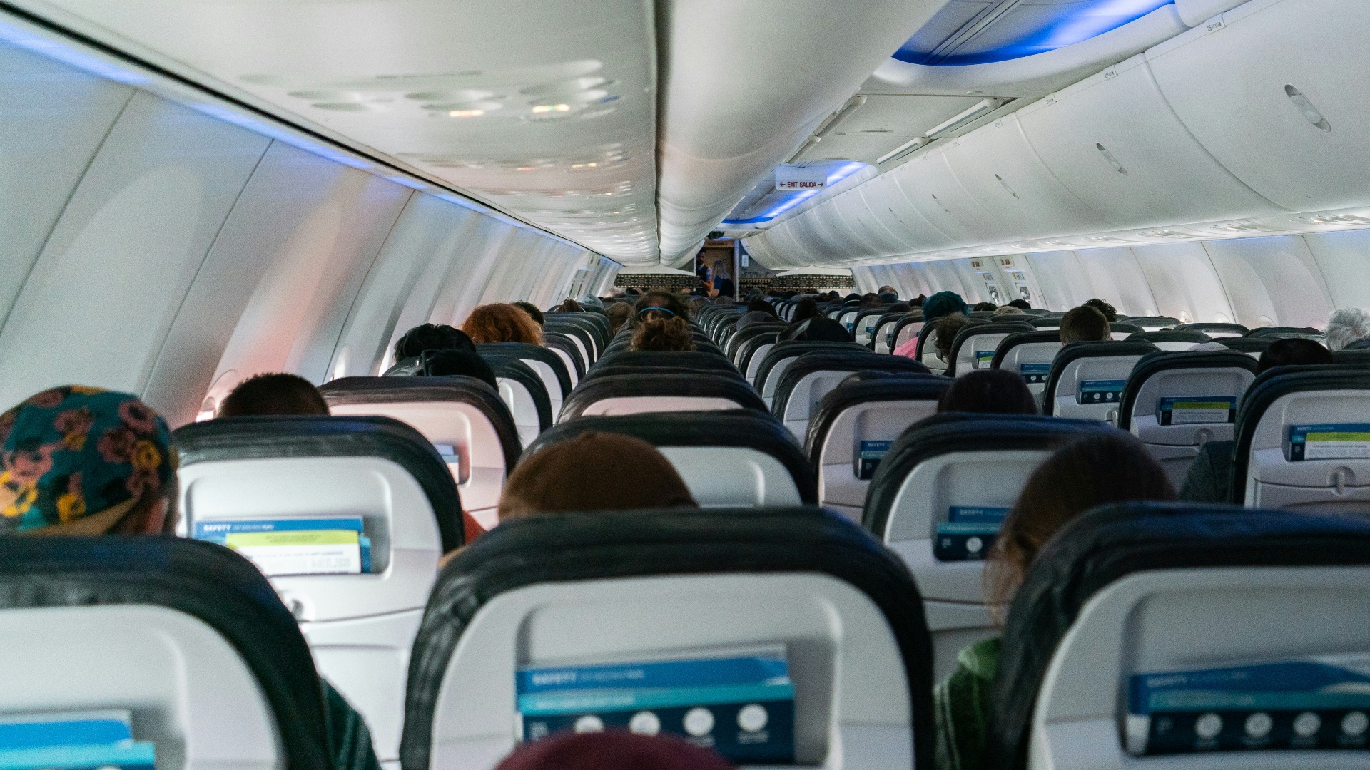 10 Hidden Perks of the Middle Seat on a Flight & 10 Obvious Downsides ...