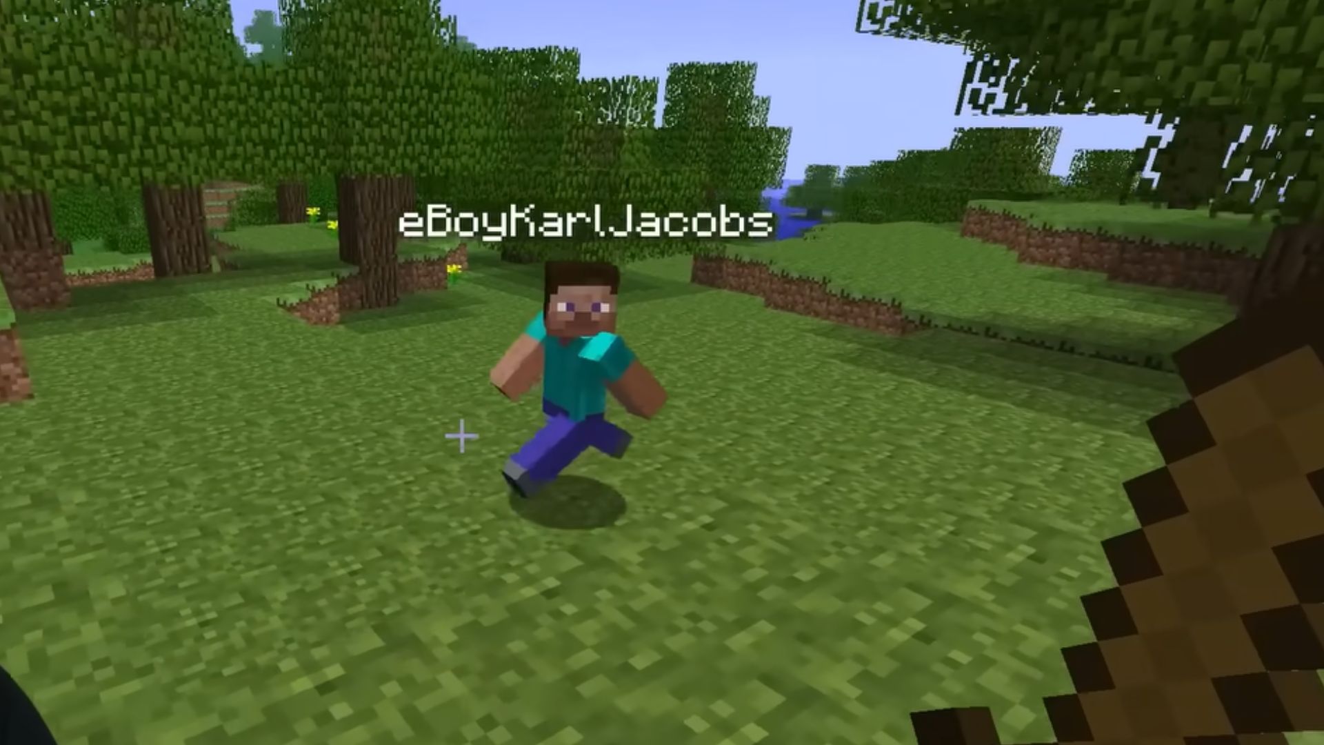 20 Awesome Video Games With Terrible Graphics - TheSavvyGamer