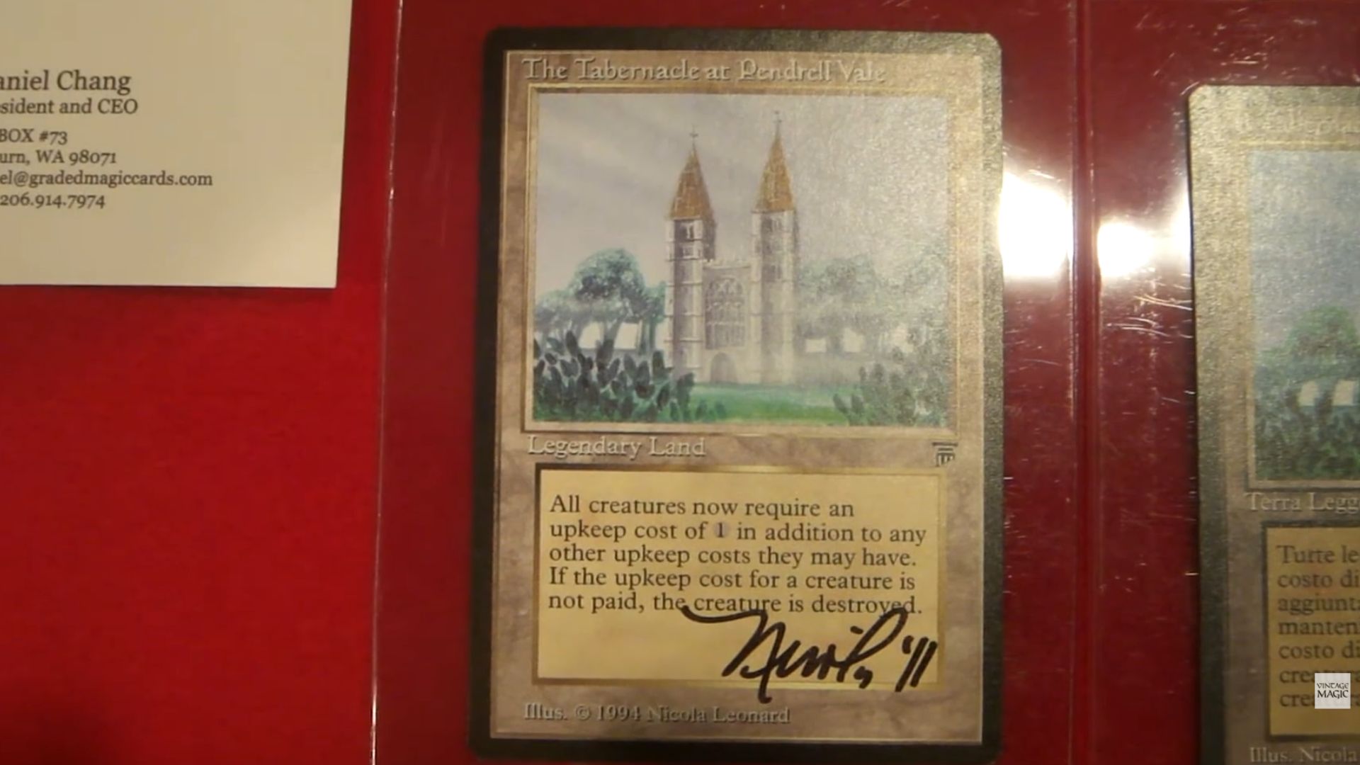 The 20 Most Expensive Magic: The Gathering Cards - TheSavvyGamer