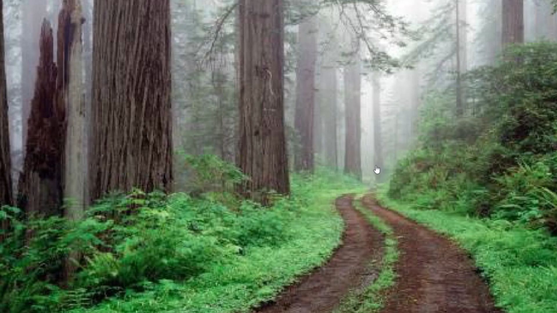 The 20 Scariest Flash Games We Barely Finished Playing - TheSavvyGamer