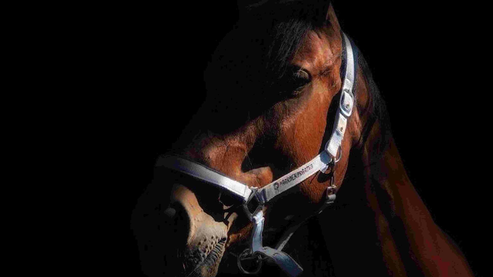 10 Legend Of Zelda Side Characters We Love & 10 We Hate - TheSavvyGamer