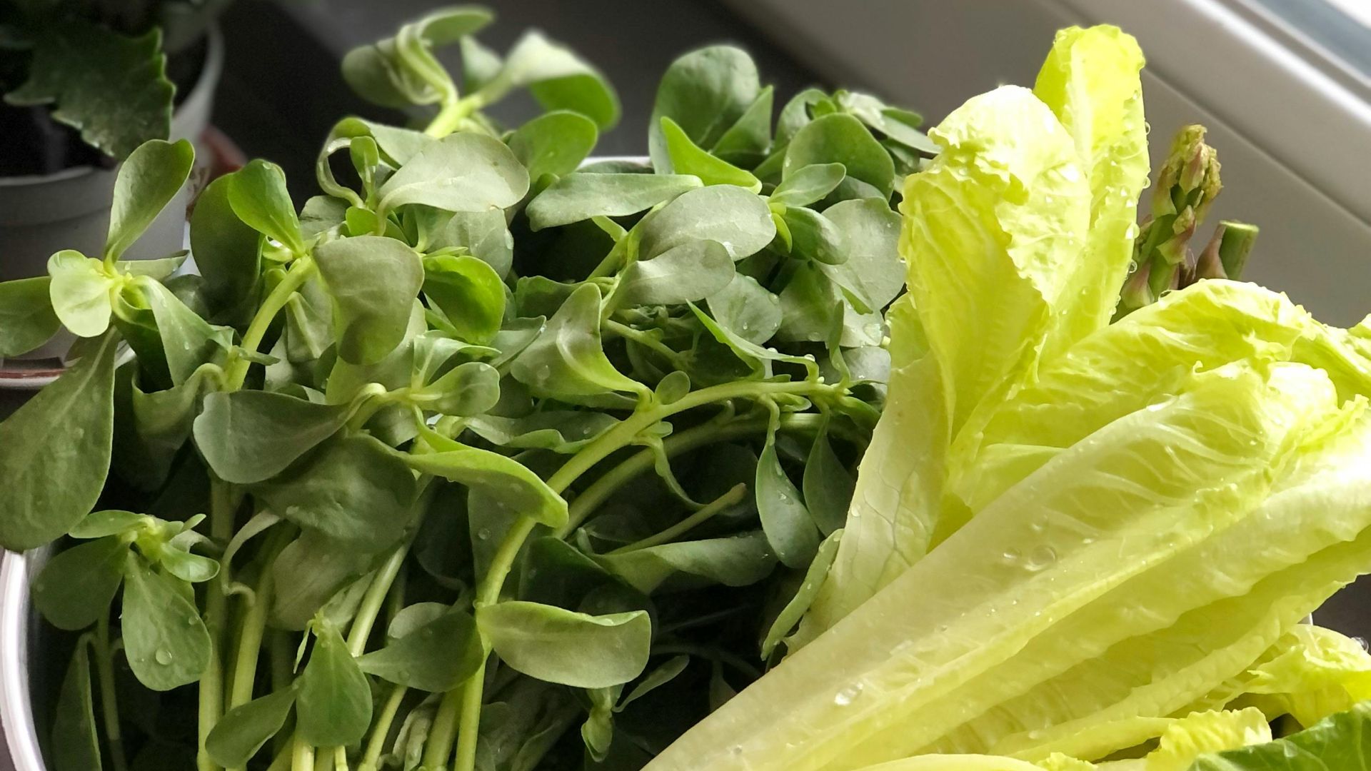 10 Foods High In Heavy Metals & 10 Healthier Alternatives To Eat ...