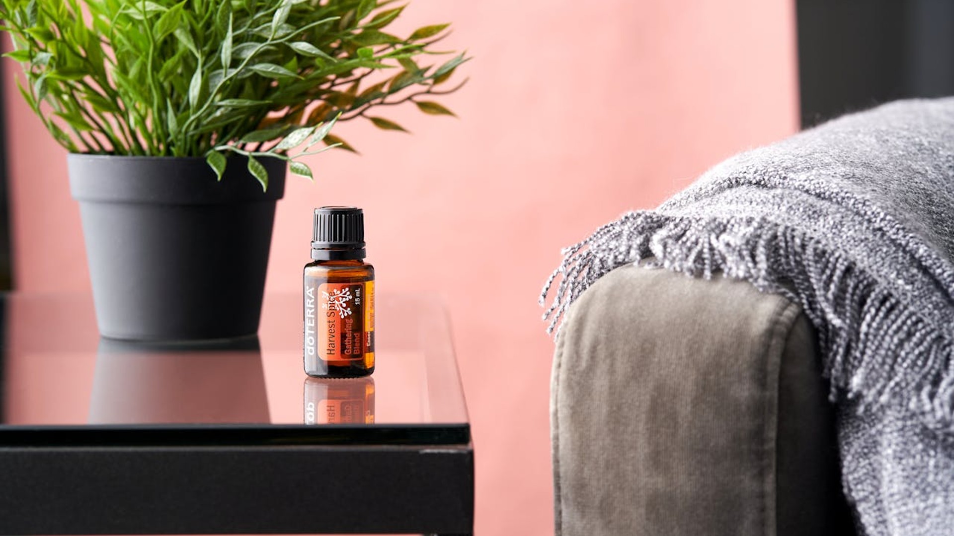 Popular Essential Oils and How To Use Them Around The House - TheZenParent
