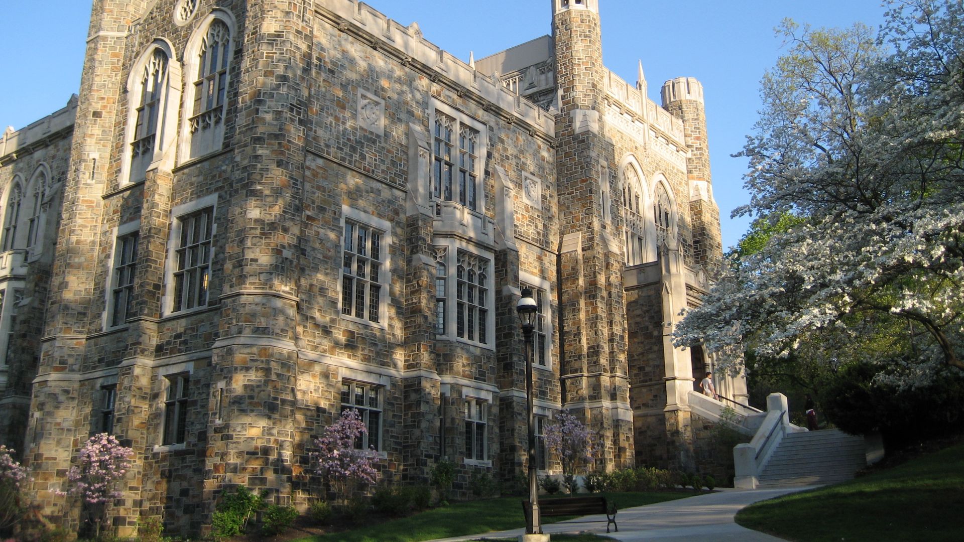 20 U.S. Colleges With The Nicest Libraries - TheZenParent